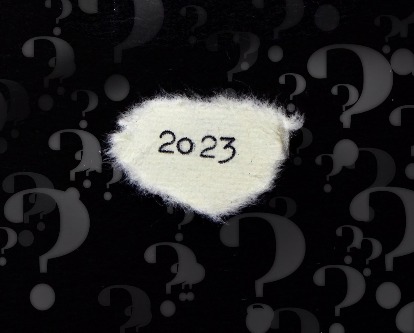 Peter Arkley Institute for Risk Management - USC Marshall